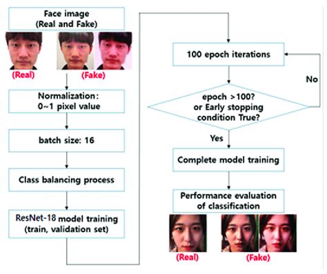 flowchart of the proposed method for classification download