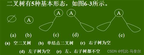树和二叉树的定义 极客之音