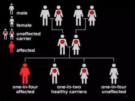 Diagnosis Sickle Cell Anemia Pptx