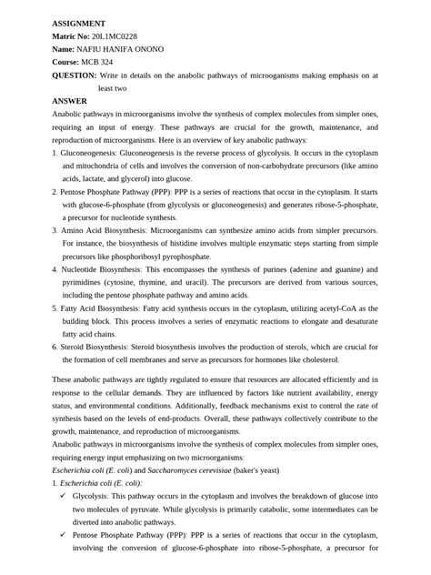 Anabolic Pathways Of Microorganism Pdf Biosynthesis Metabolic Pathway
