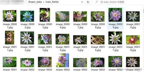 项目零：基于dataloader自定义数据集的图像识别实战及flask部署编写dataloader将图像和标签送给目标网络训练 Csdn博客