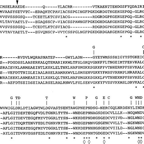 Amino Acid Sequence Alignment Of The Ascidian Lectin The Entire Amino Download Scientific