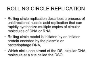 Rolling Circle Model And M Bacteriophage Replication PPT