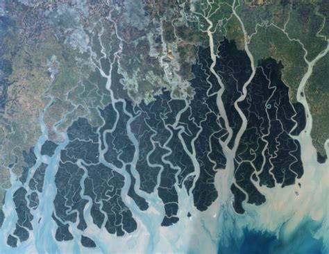 Fluvial Landforms Meaning Processes Types Diagram And Examples