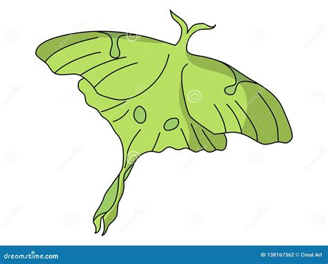 Luna Moth Illustration Vectorbutterfly Abstract Vector Stock Vector