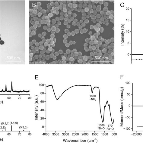 Characterization Of Silica Coated Iron Oxide Nanoparticles Si Ionps Download Scientific