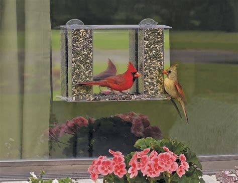 Bird Feeder Window Insert At Michael Birdwood Blog