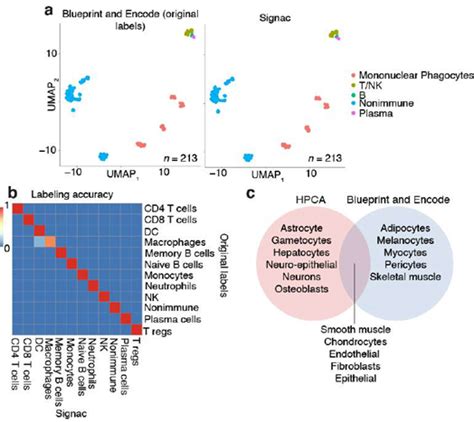 Cell Type Classification And Discovery Across Diseases Technologies And Tissues Reveals