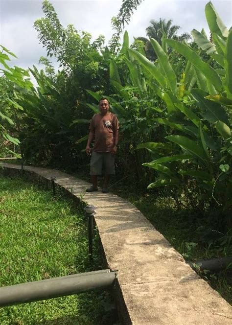 Composting Septic System Ambient Green