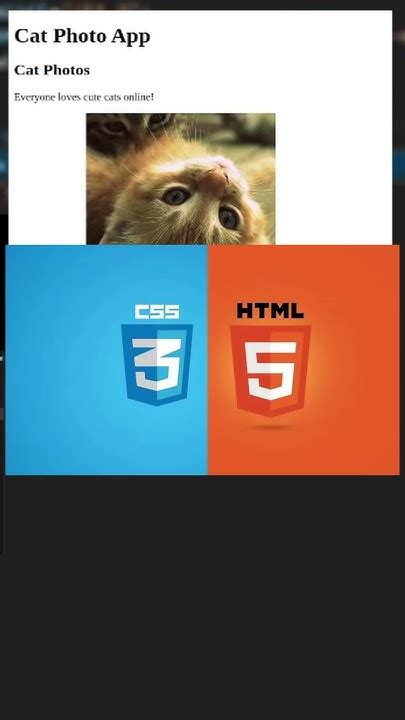 Day 23 30 Day Coding Challenge Softwareengineer Coding Code