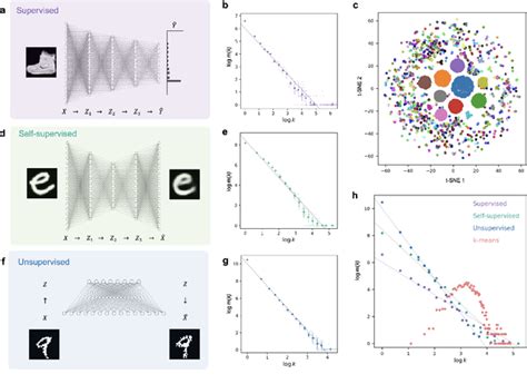Scale Invariant Representation Of Machine Learning Paper And Code