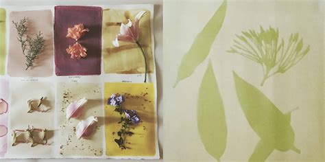 Anthotype Printing With Native Plants Grid Magazine