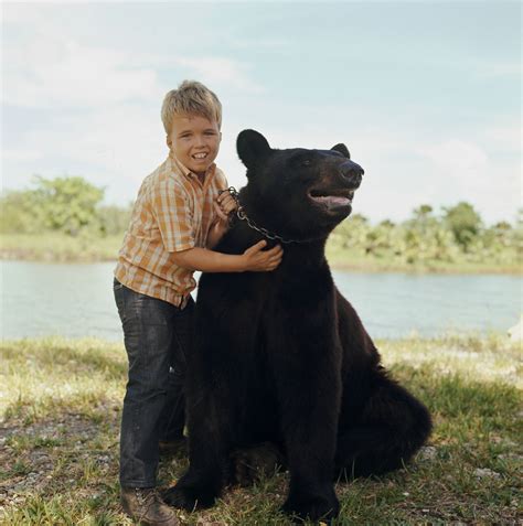 Ben Bear Tv Show 60 Photos Moonagedaydream Film