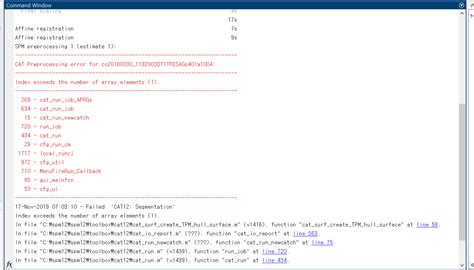 Failed Cat12 Segmentation Bugs Brainstorm