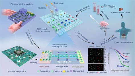 Um Develops New Drug Screening Technology For Precision Medicine