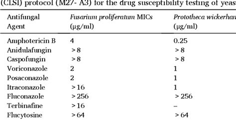 Figure 2 From Simultaneous Infection With Fusarium Proliferatum And Prototheca Wickerhamii