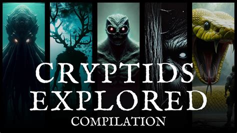 Cryptids Explored A Cryptids Documentary Compilation Youtube