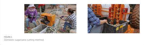 Figure 1 From Sugarcane Stem Node Detection And Localization For
