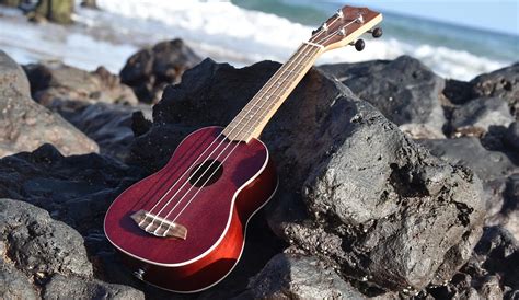 7 Curiosidades Sobre El Ukelele El Rincon Del Saber