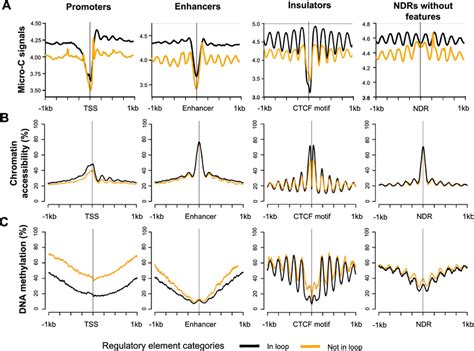 Nucleosome Phasing And Dna Methylation Levels Around Regulatory