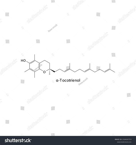 Alpha Tocotrienol Skeletal Structure Molecular Formula Stock Vector