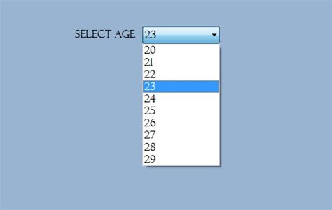 How To Style The Drop Down List In Combobox In C Geeksforgeeks