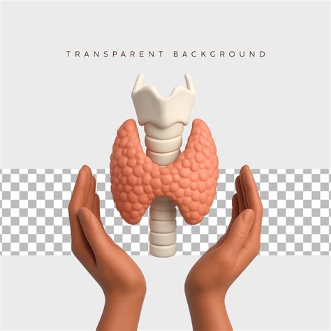 Thyroid Flyer Psd High Quality Free Psd Templates For Download Freepik