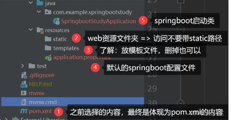 Springboot Csdn