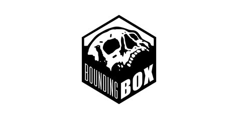 Bounding Box Software Inc Game Developer