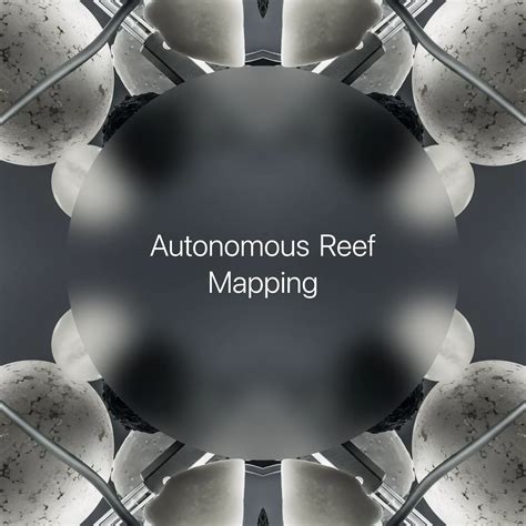 Autonomous Reef Mapping → Term