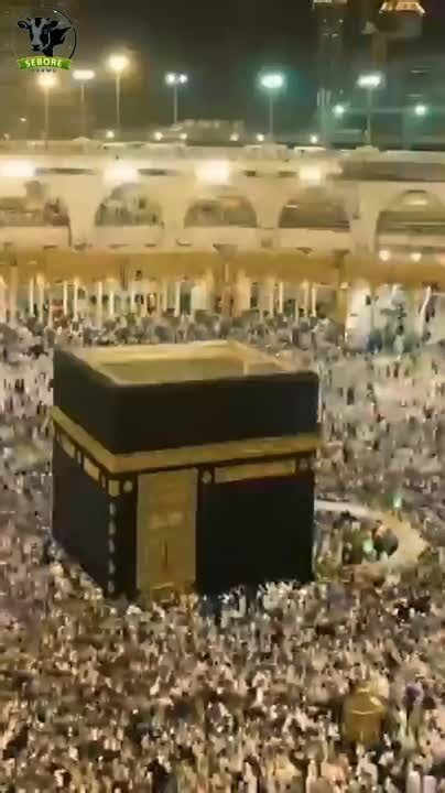 Usman Kabir Muduru On Linkedin We At Sebore International Farms