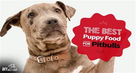 The Best Puppy Food For Pitbulls