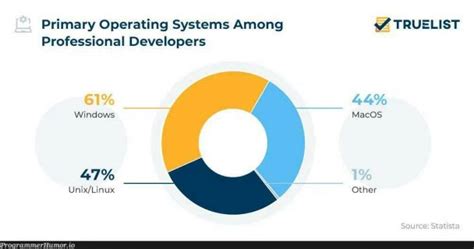 operating system