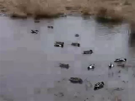 Mostafa Hajiaghaei Keshteli On Linkedin Keshtel Algorithm Keshtel Algorithm Metaheuristics…