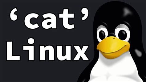 Cat Command Linux Youtube