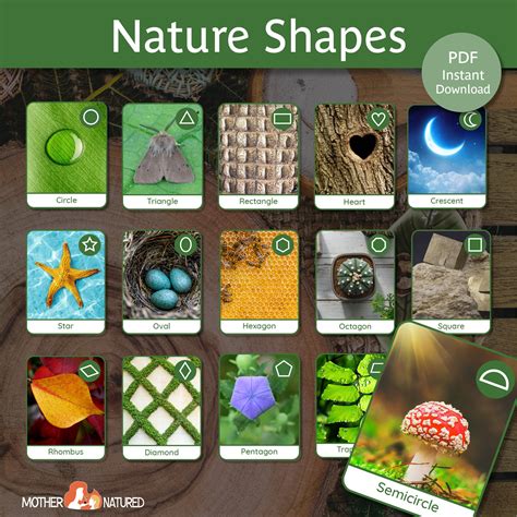 Nature Shapes Poster And Cards Nature Shapes Prebabe Nature Shapes Activities Nature Shapes