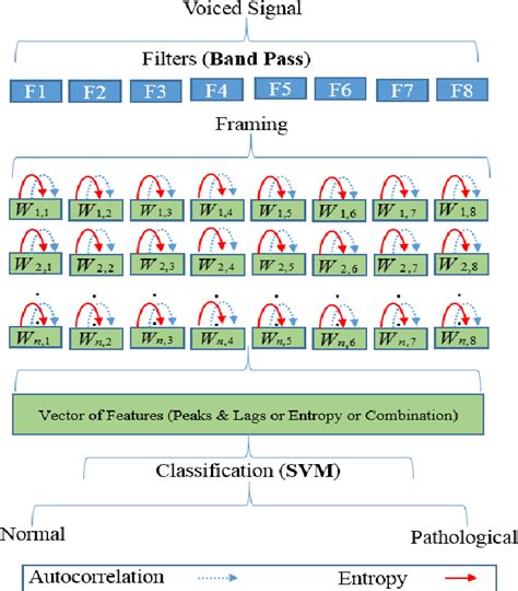 Figure 1 From Voice Pathology Detection And Classification Using Auto