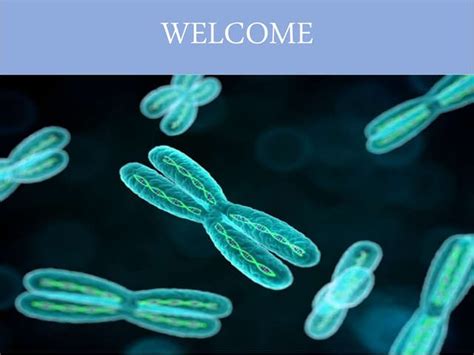 Initiation Of Meiotic Recombination Conservation And Specificities Among Eukaryotes Seminar Ppt