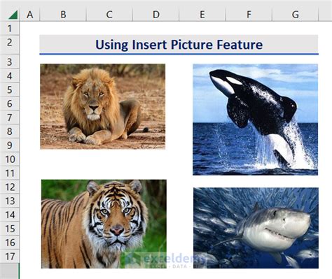 how to insert multiple pictures at once in excel 2 easy ways