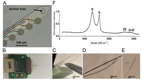 Flexible Glassy Carbon Microelectrode Arrays Gc Meas A Mea Download Scientific Diagram