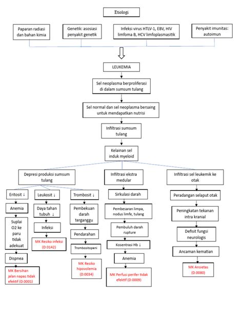 Woc Leukemia Dan Anemia Pdf