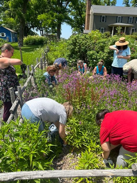 Classes And Events Forrest Green Farm