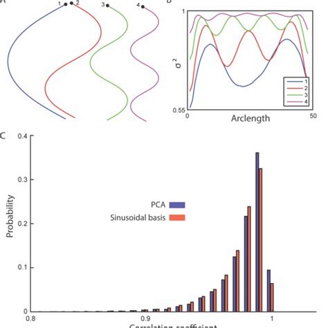 A A Cosine Series Was Used To Generate Four Basis Shapes With