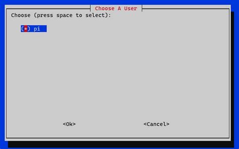 Self Hosting Guide Codesandbox