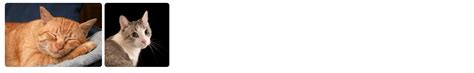Image Captions Caption Width To Match Image Width Help Obsidian Forum