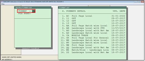 How To Export And Import All Bill Formats From Marg To Marg
