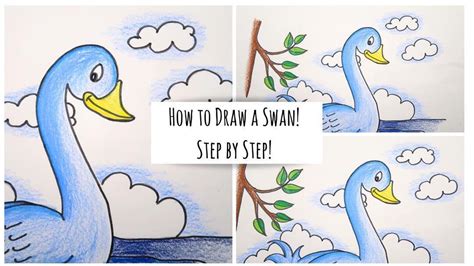 How To Draw A Swan Step By Step Drawings Draw Swan