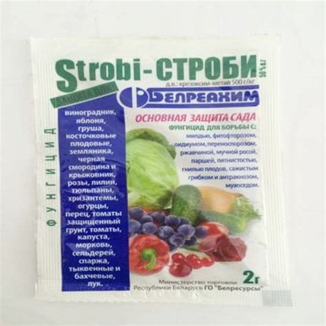 Фунгицид Строби — инструкция по применению для винограда и отзывы садоводов
