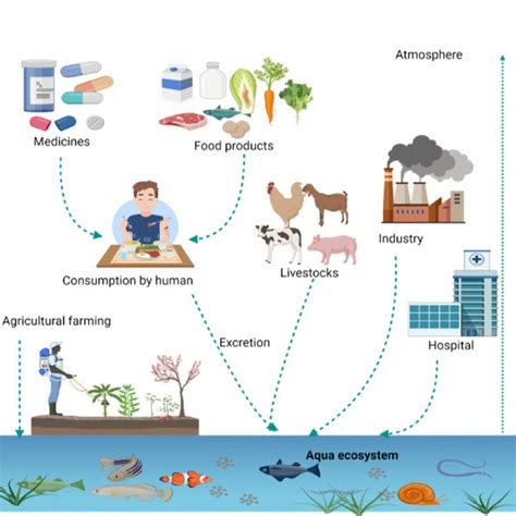 Typical Four Steps Of Spe Procedure Download Scientific Diagram