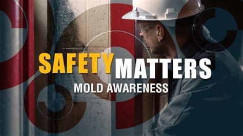 Safety Matters Mold Awareness